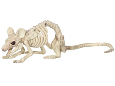 Crawling Rat Skeleton Halloween Decor Prop Realistic Bones Rodent Scary ...
