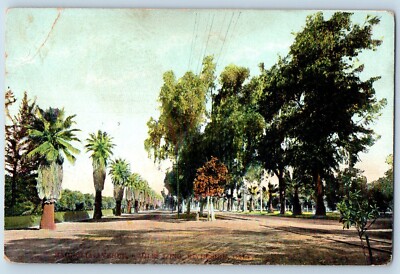 Riverside California Postcard Magnolia Avenue Miles Long c1910 Vintage ...