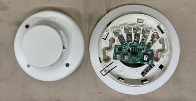 Radiation Detectors & Geigers - Detector Model