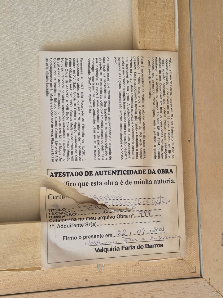 Valquiria Faria de Barros Brazil Painting | eBay