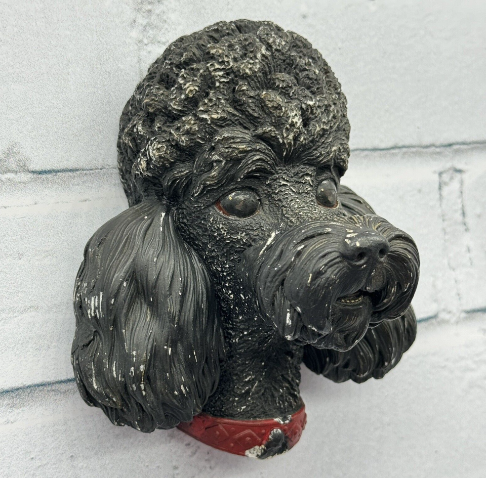 Vintage Chalkware Black Poodle Dog Head Bossons England Wall Hanging ...