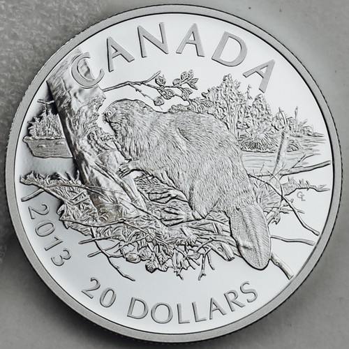 Canada 2013 $20 Beaver 1 Troy oz. 99.99% Pure Silver Proof Coin ...