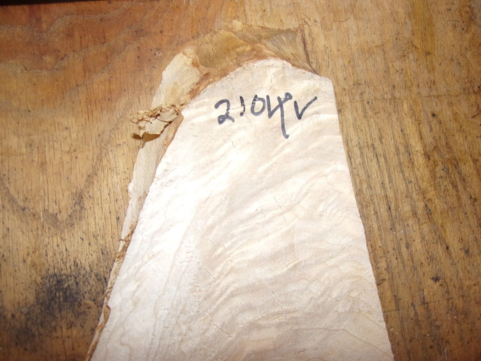 SMALL RUSTIC HARD MAPLE SLAB KILN DRIED LUMBER 7/8" THICK LOT 2104V ...