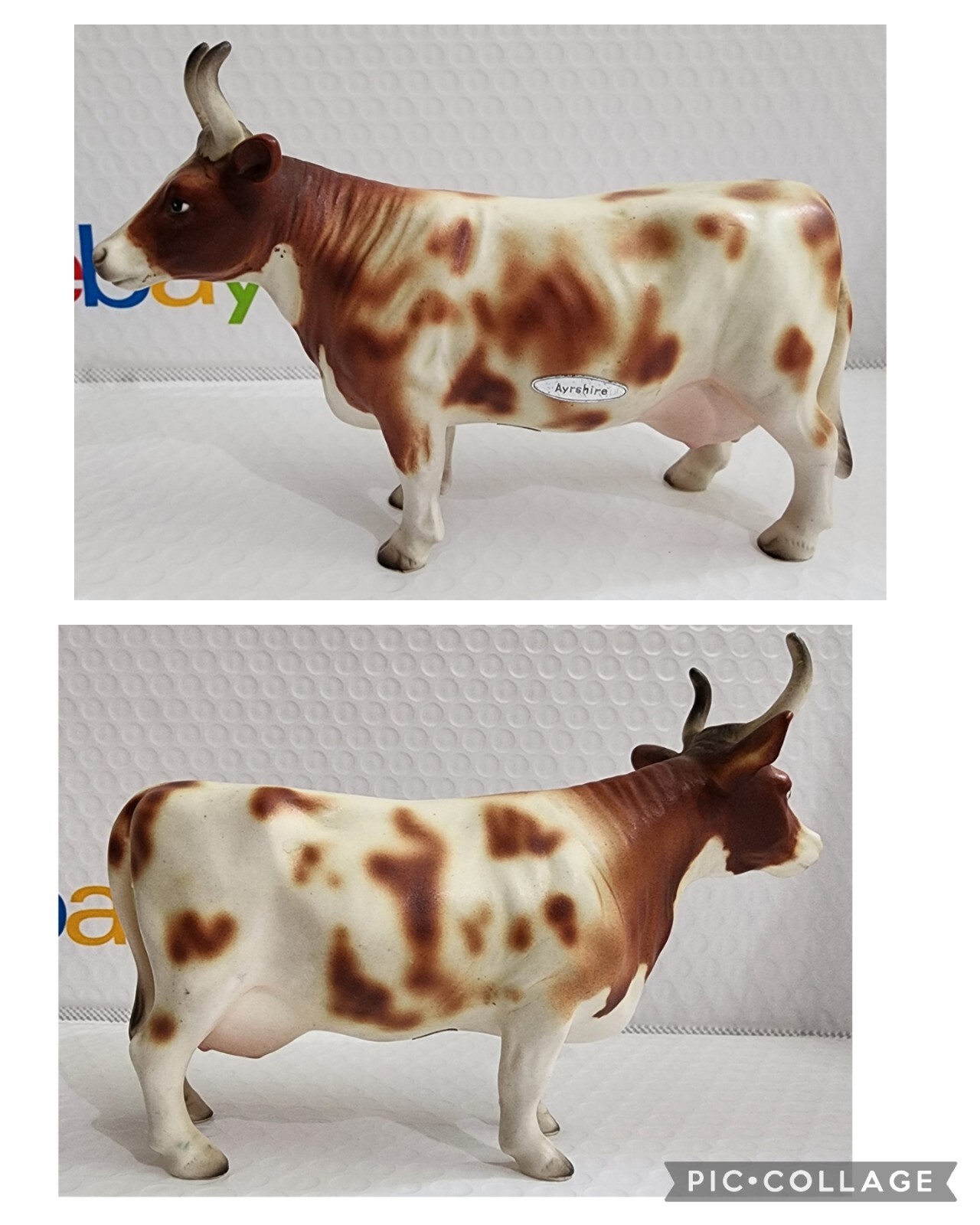 7 Lefton cattle cows - Angus Bull, Ayrshire, Jersey, Brahman, Hereford ...