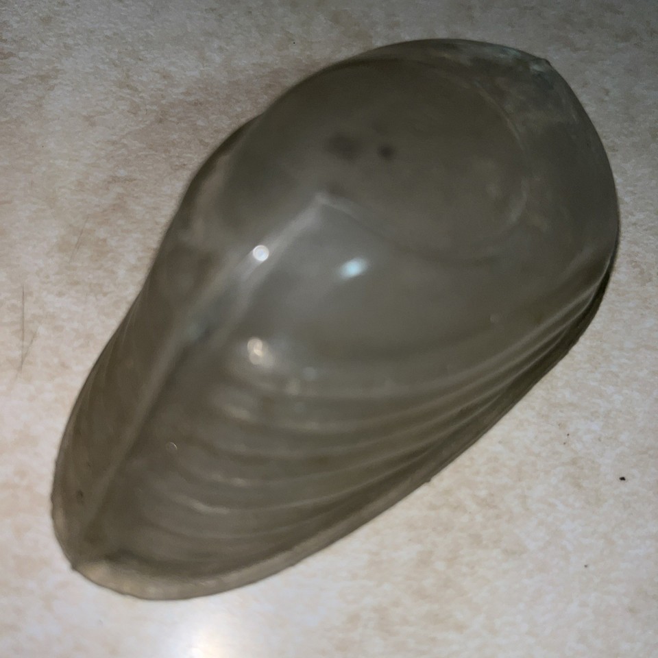 VTG OEM Harley Knucklehead Flathead Springer Front Fender Light Guide ...