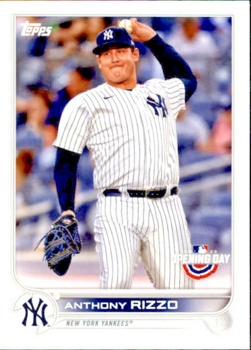 Anthony Rizzo Wedding Heidi Rizzo And Anthony Talpak's Wedding Website