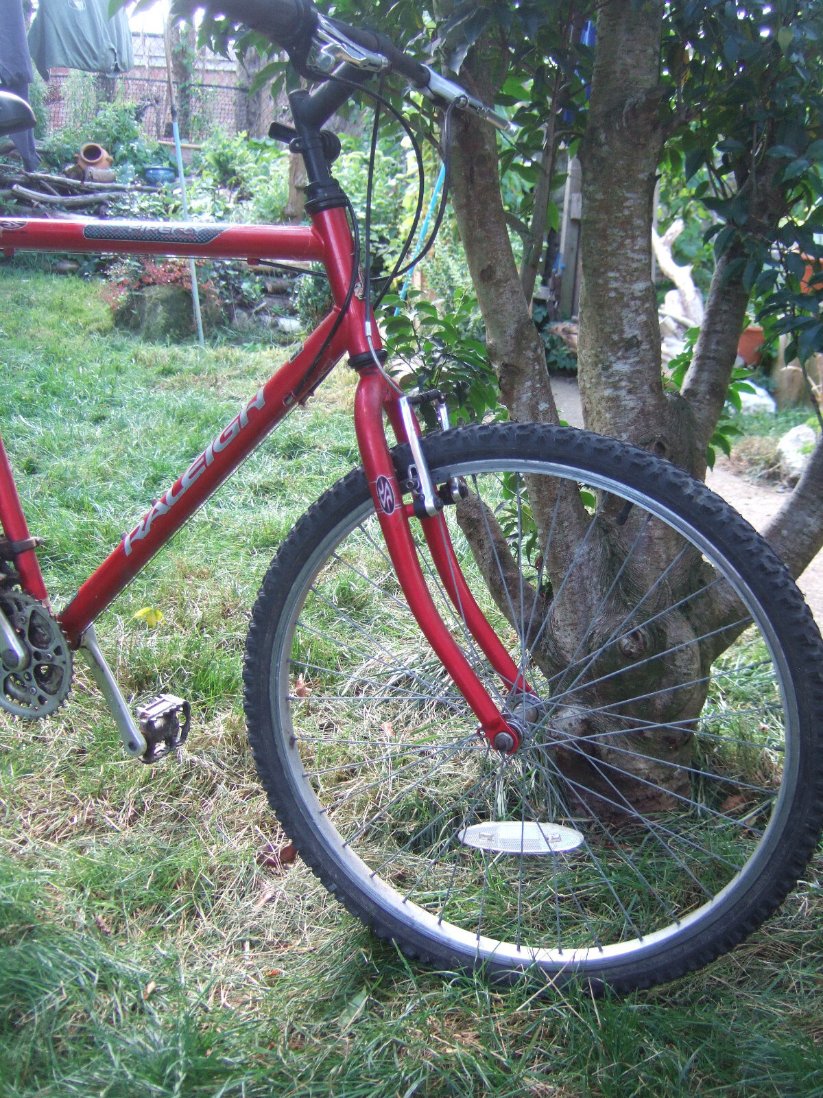 RALEIGH FIREFLY 15 GEAR SHIFT MOUNTAIN BIKE | eBay UK