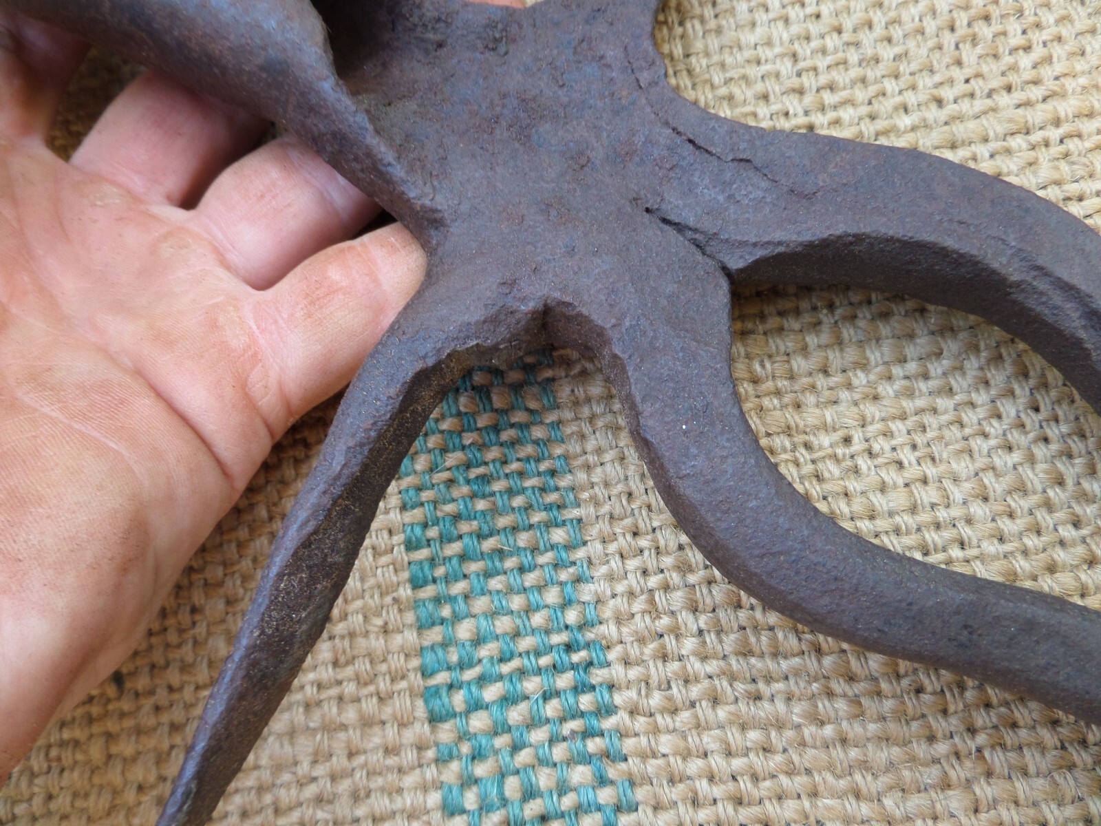 ANTIQUE ROOT PULLER BEET EXTRACTING TOOL DIGGING BEETROOT VINTAGE HAND ...