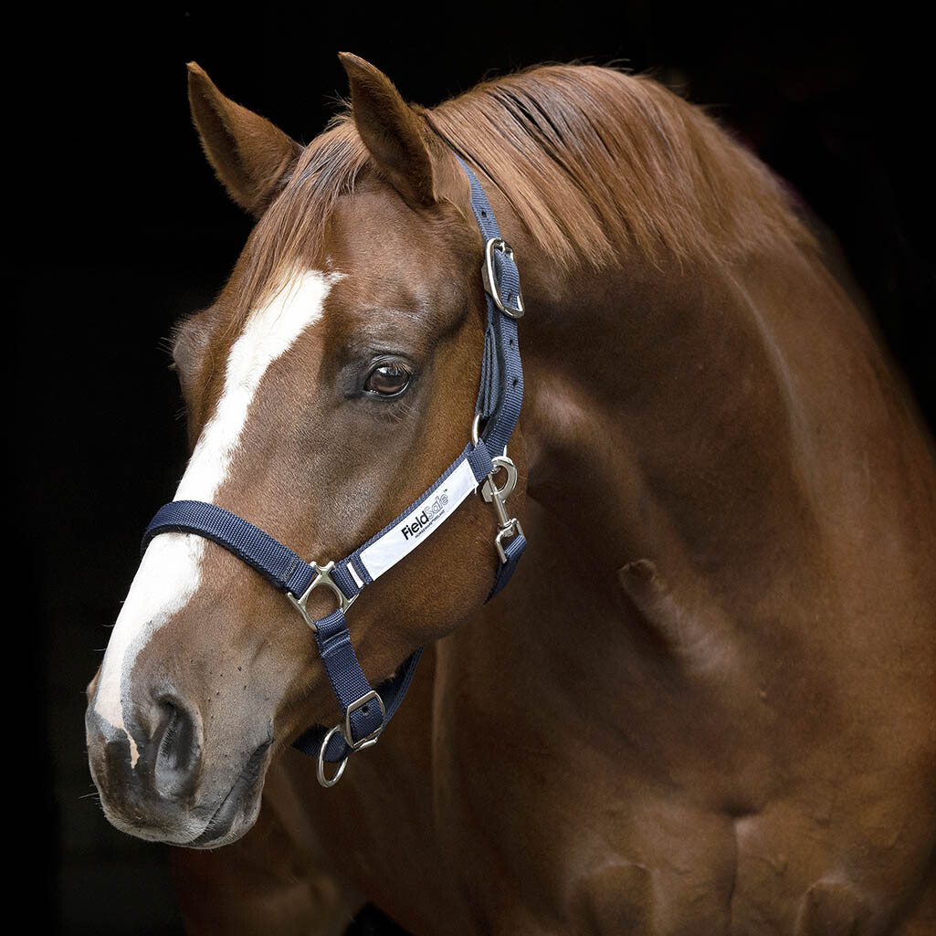 Horseware FieldSafe Halter | eBay