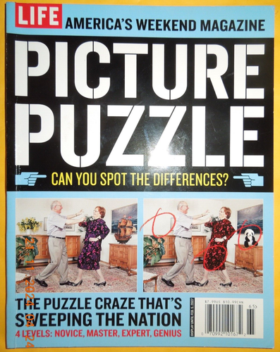 PICTURE PUZZLES life MYSTERIES 4 LEVELS novice MASTER expert GENIUS 9th ...