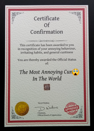 Most Annoying C*nt In The World Certificate Confirmation Award Rude ...