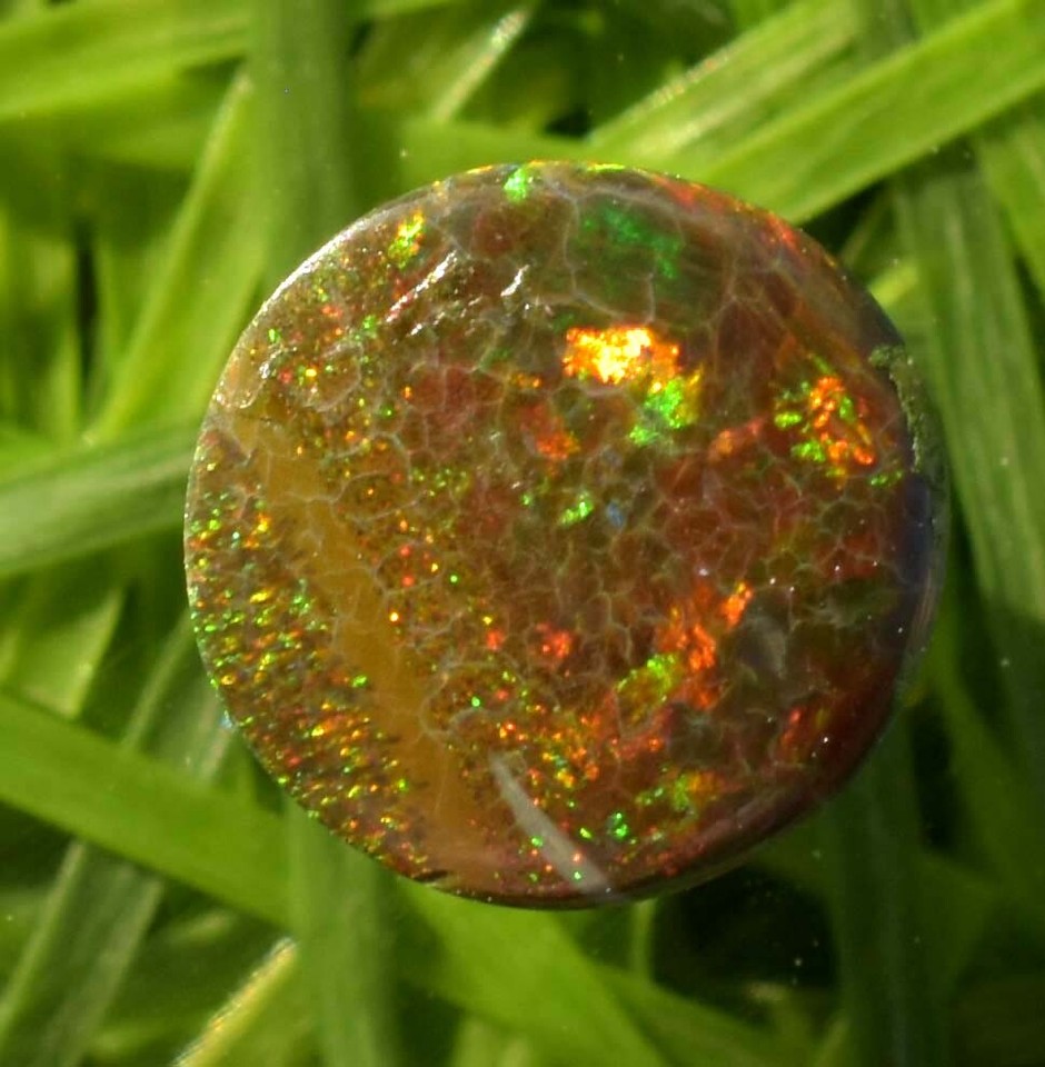 Naturale Etiope Opale di Fuoco Rotondo Loose Liscio Lucido Gemma ...
