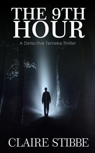 The 9th Hour by Claire Stibbe (2016, Trade Paperback) for sale online ...