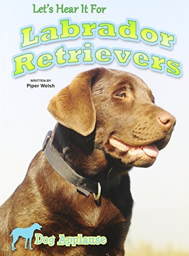 LET'S HEAR IT FOR LABRADOR RETRIEVERS (DOG APPLAUSE) By Piper Welsh ...