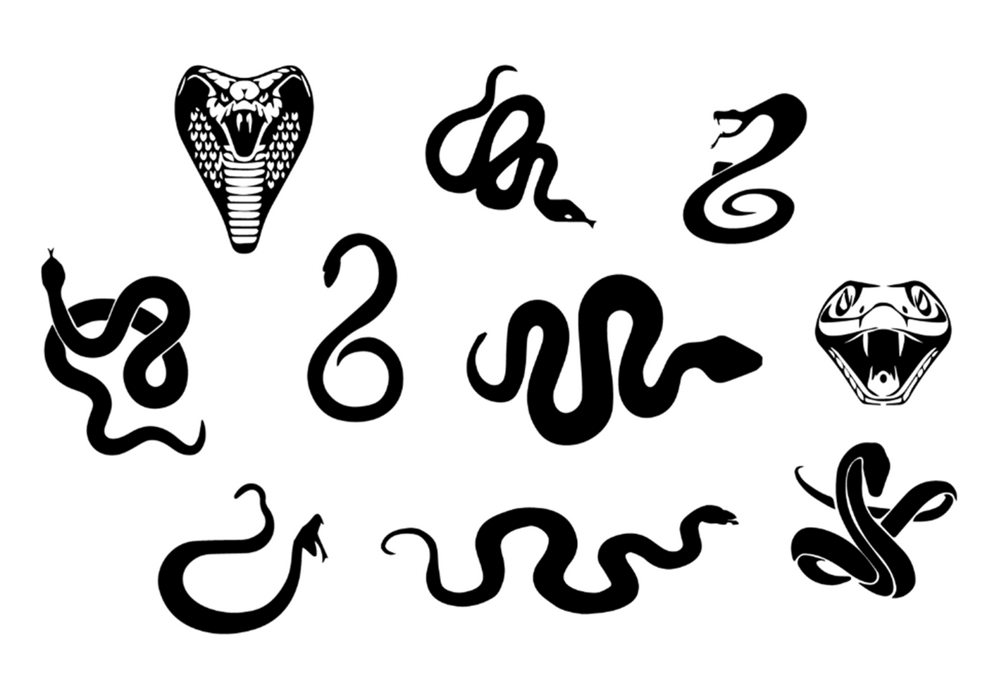 Snake Stencil