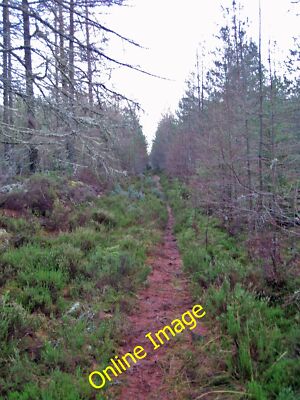 Photo 6x4 Forest footpath Mount High Marked on the OS map as a track ...