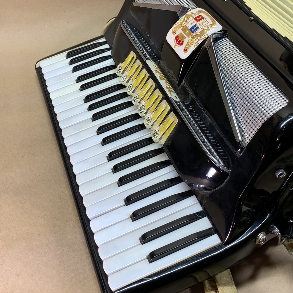 Noble Deluxe Grand 41 Key Accordion 7 Instrument Switches & 120 Buttons ...