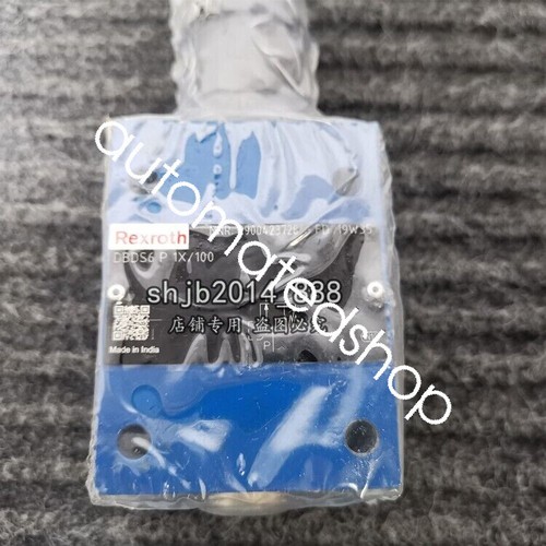 1PC R900423728 DBDS 6 P1X/100 SHIP EXPRESS #P676E YL | eBay