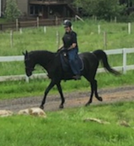 Women Shoe Dr. Martens Pascal With Zip 8 Eye BOOTS 22008001 Black Aunt ...