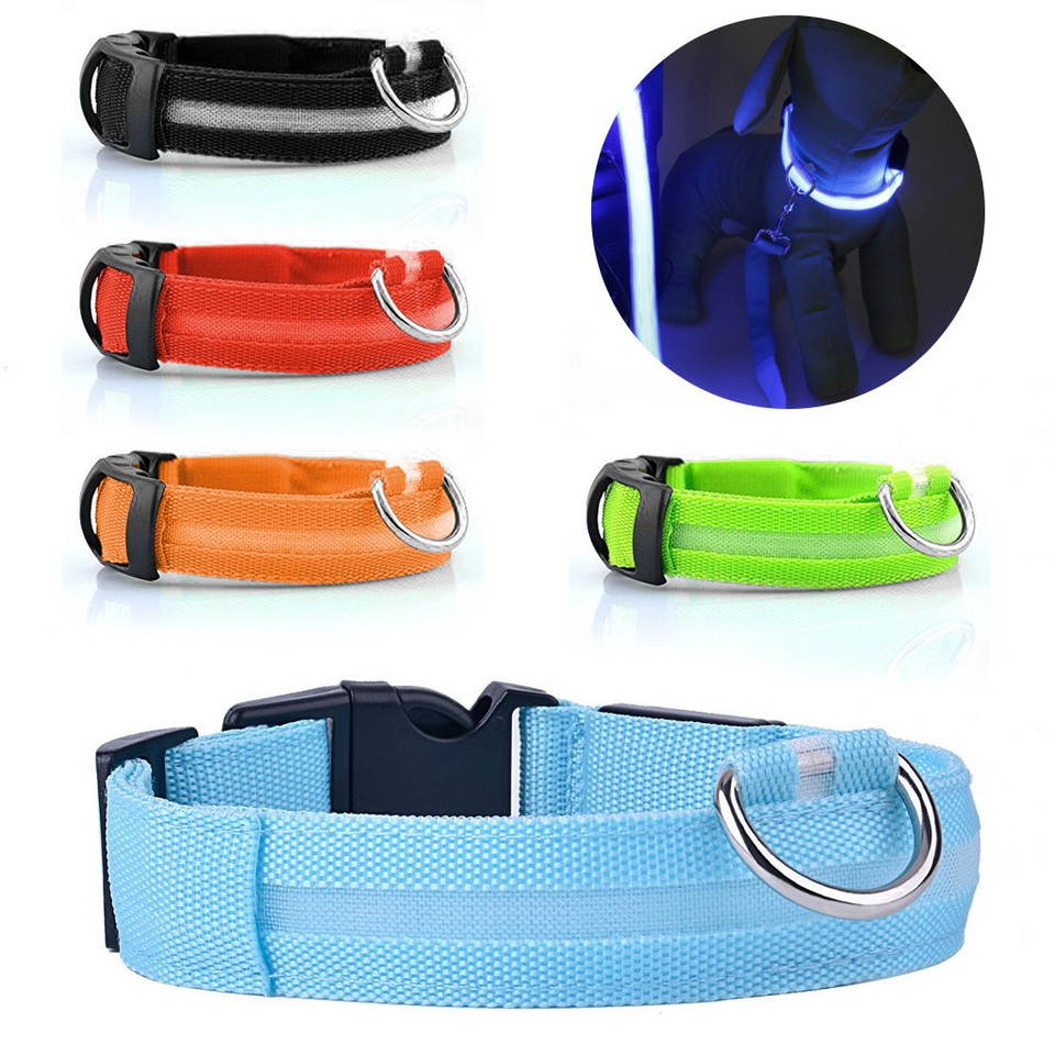 RECHARGEABLE USB LED Dog Pet Light Up Safety Collar Night Glow ...