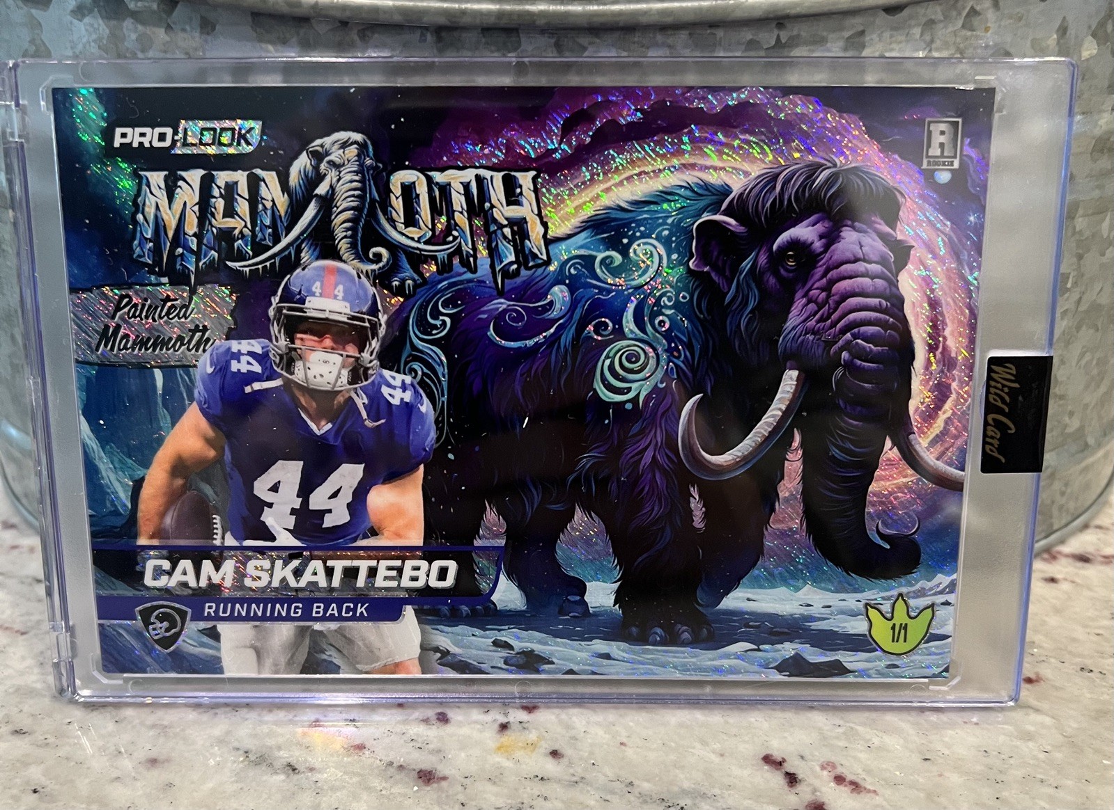 2025 Wild Card Cam Skattebo 1/1 Painted Mammoth Rare