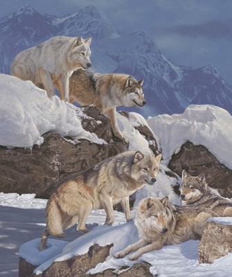 Northcott Winter Gathering DP25526 44 Wolf's Scenic 36" Digital Panel ...