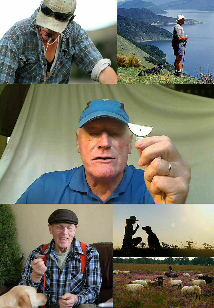 Sydney Stock! ACME 575 Shepherds Dog Whistle Nickel Silver Sheep Dog ...