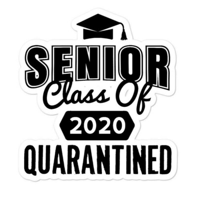 Class of 2020 Quarantined Sticker 4x4 Funny Social Distancing Toilet ...
