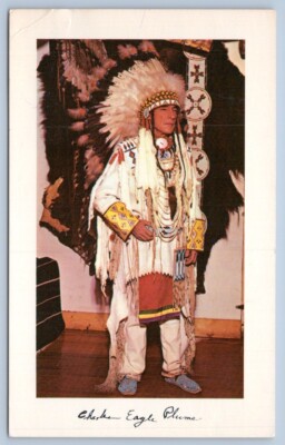 Vintage Postcard Native American Charles Eagle Plume B10 | eBay