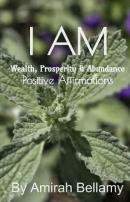 I Am Wealth, Prosperity & Abundance Positive Affirmations 9781548510206 ...