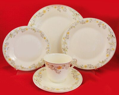 NICOLE H5080 by Royal Doulton 5 Piece Place Setting NEW NEVER USED made ...