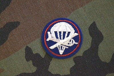 Authentic RARE US Army Paraglider Officer Color Military Patch | eBay