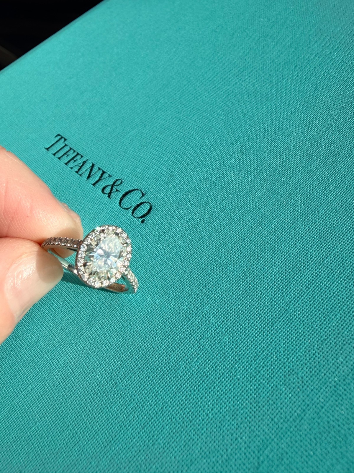 Tiffany & Co Soleste Oval 1.13 Carat Diamond Halo Platinum Ring ...
