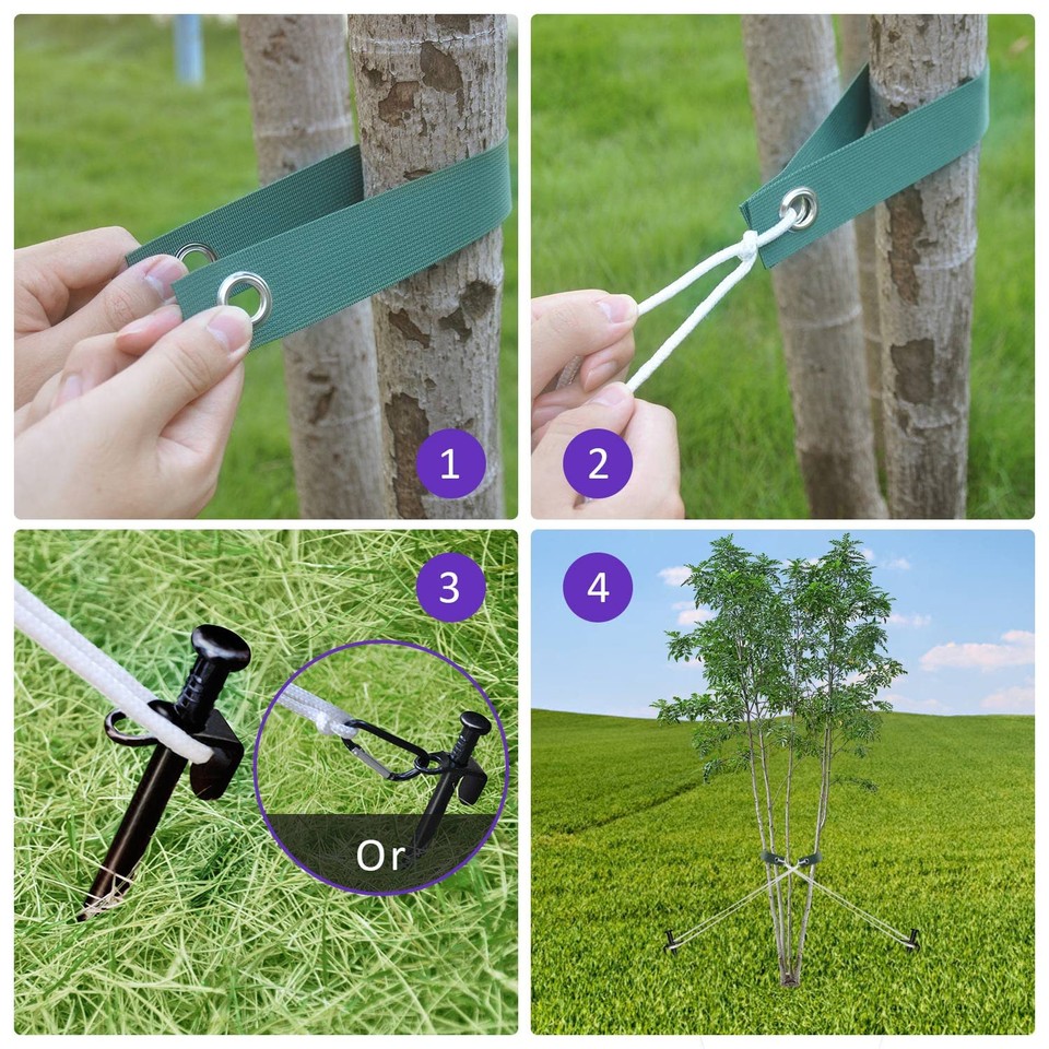 Heavy Duty Steel Tree Stake Kits,Tree Staking and Supports Kits for ...