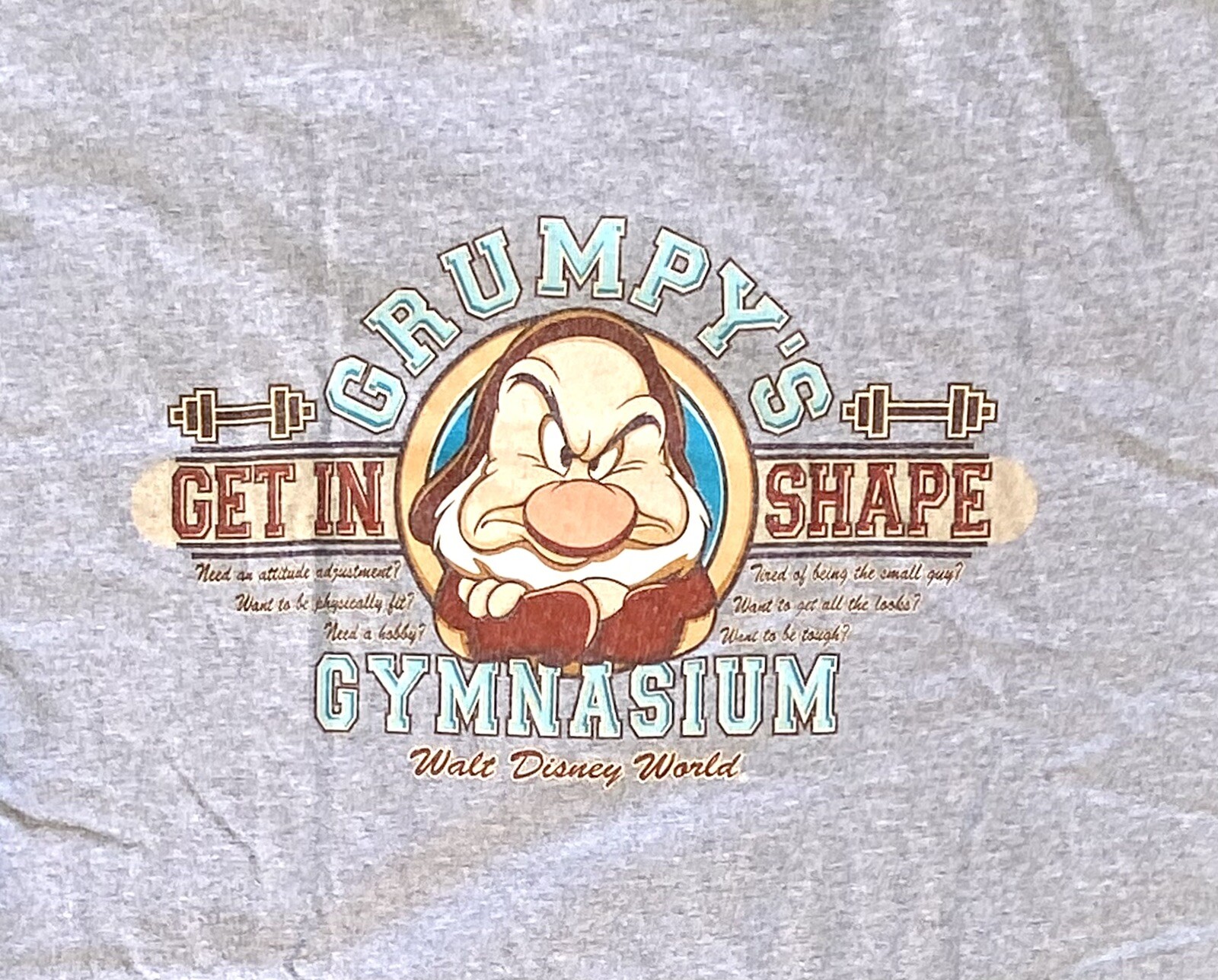 Men’s VTG Walt Disney Seven Dwarfs Grumpy Gymnasium G… - Gem