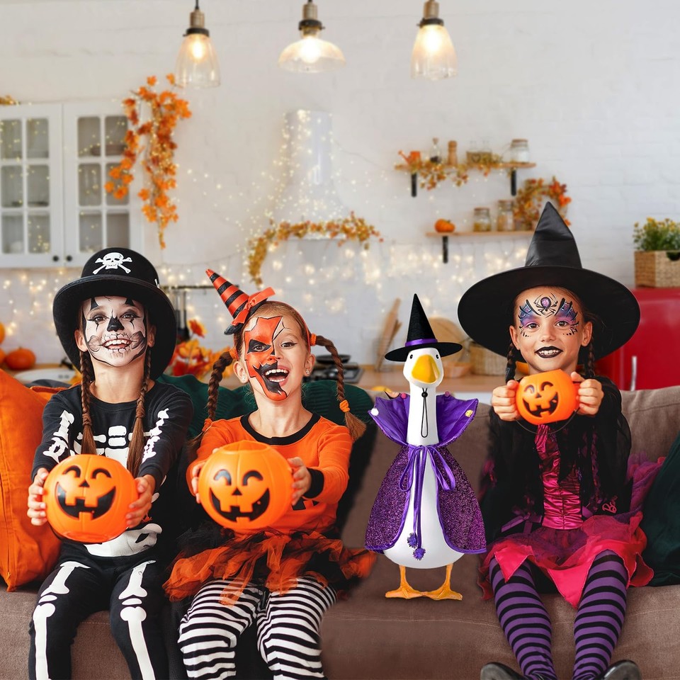 Halloween Porch Goose Outfit, 23-inch Witch Goose Outfit. Fall Goose ...
