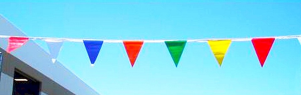 PENNANT STRING FLAGS 60ft Plastic MULTI COLOR yellow green orange red ...