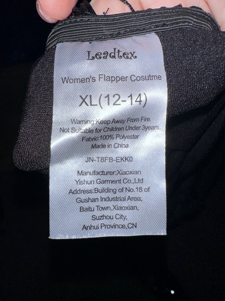 Leadtex Women's 1920s Fringed Flapper Dress Women's XL Size 12-14 NWOT | eBay