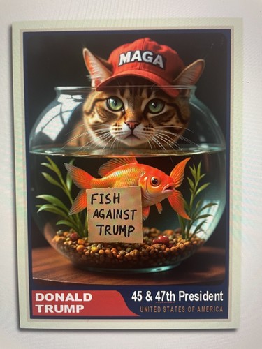 Donald Trump 2024 “Team Trump” Custom ACEO People Over Fish. Water For ...