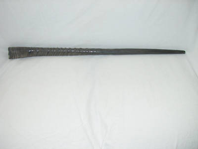 Shofar Gemsbok Horn Oryx Size 24" (60cm) Music New From Israel Free ...