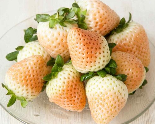 50+ White Wild Strawberry Seeds - White Soul (Fragaria Vesca White Soul ...