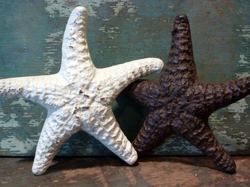 Seaside Starfish Ceiling Light | Shelly Lighting
