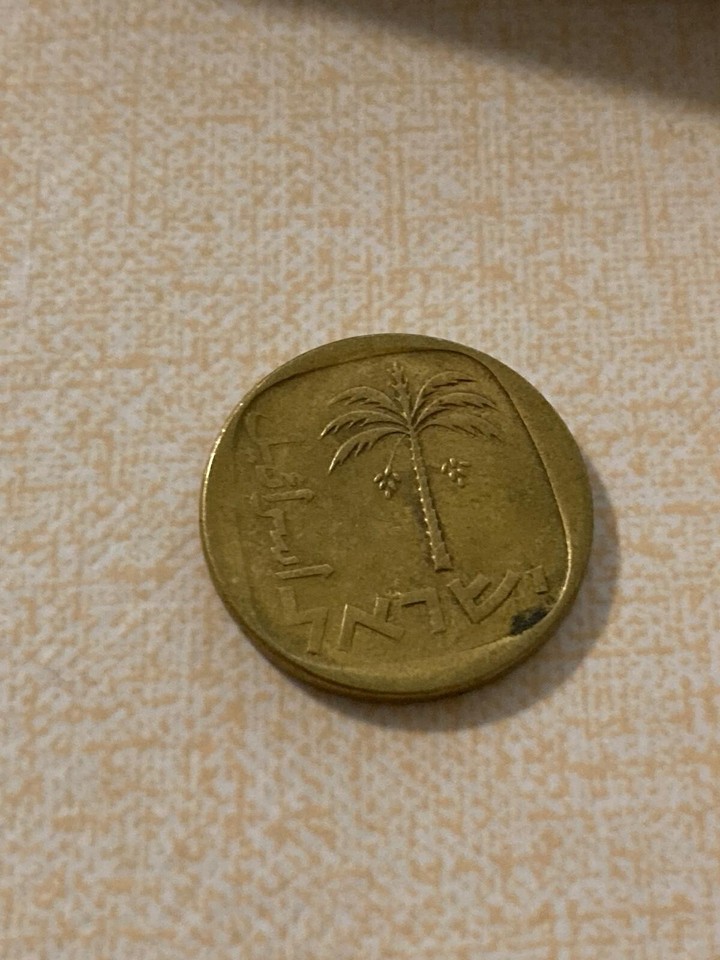Old 10 Agurot Israeli Shekel Palm Tree Coin | eBay