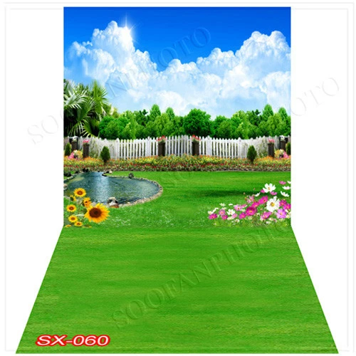 Digital Photo Studio Background Images