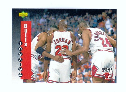1993-94 UPPER DECK MICHAEL JORDAN #213 NM/MT BULLS | eBay