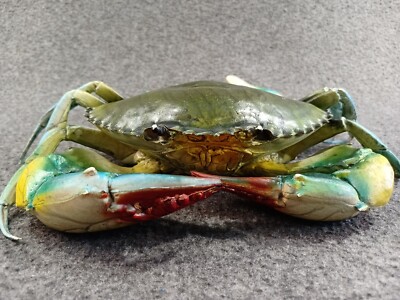 Blue Crap Figurine Realistic Detailed 8" Wide Hard Plastic | eBay