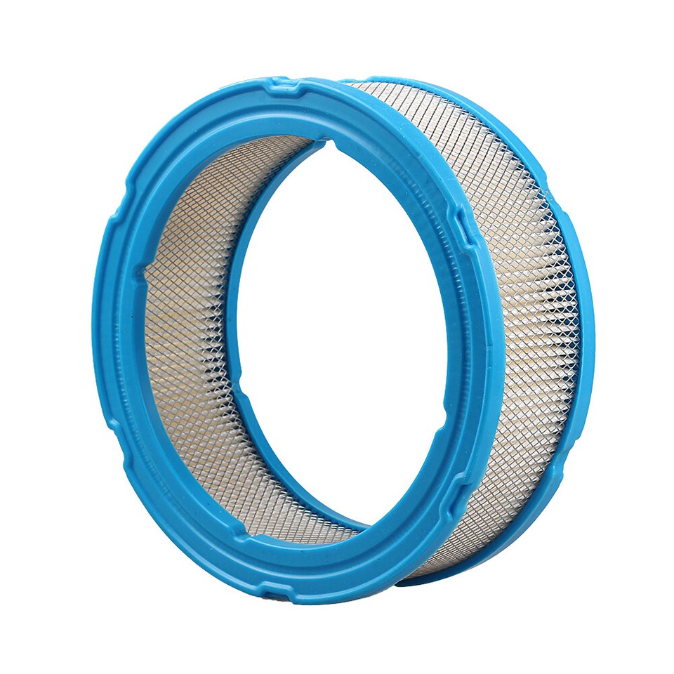 394018 Air Filter For Briggs & Stratton 392642 394018S 271271 272490 ...