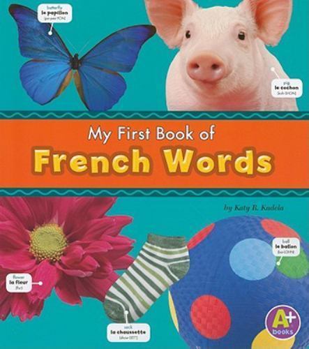 Bilingual Picture Dictionaries Ser.: My First Book of French Words by ...