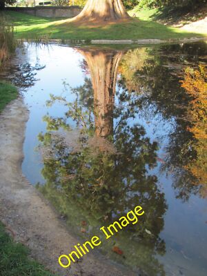 Photo 12x8 Redwood Reflections Tring c2014 | eBay UK