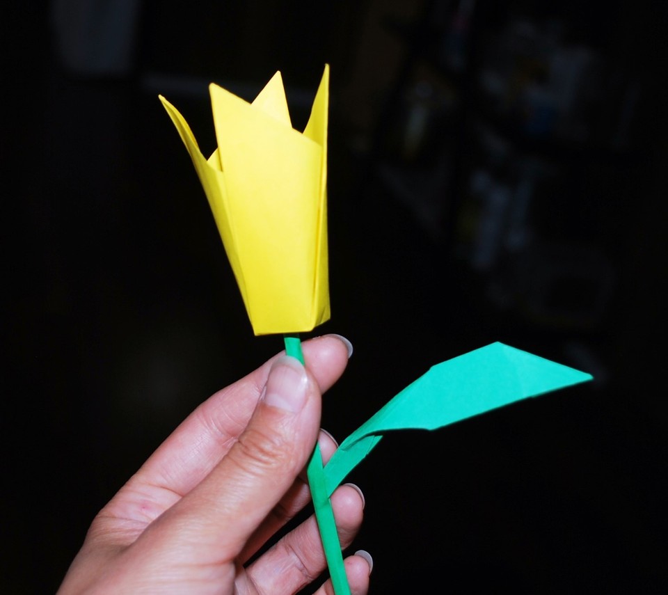 Prison break Origami rose flower paper swan crane MICHAEL SCOFIELD ...